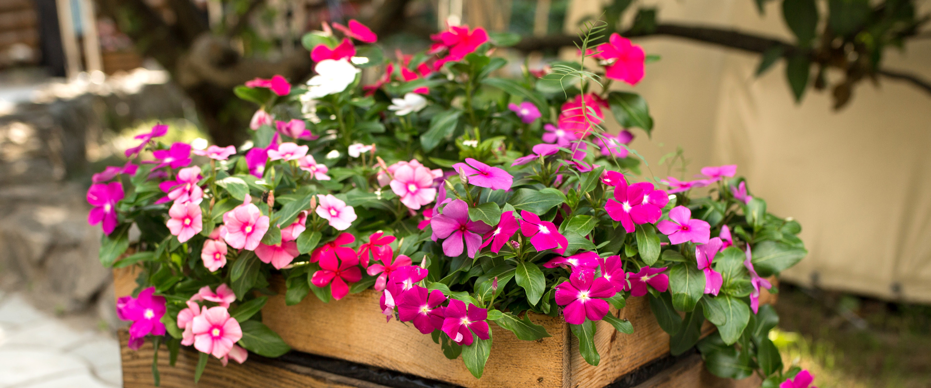 CZ-FLORA odbytové družstvo